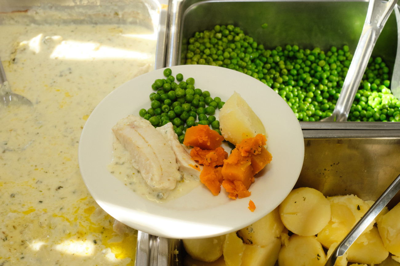 Contact | Cibus Catering | Phone, mobile, email & address