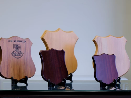 Trophies, Cups & Shields | Brandwell Moller | Celebrate sports awards ...
