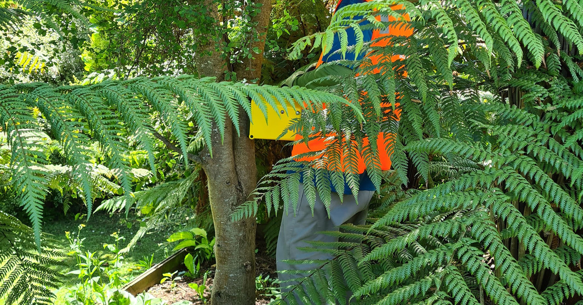 Can you help us install predator traps?