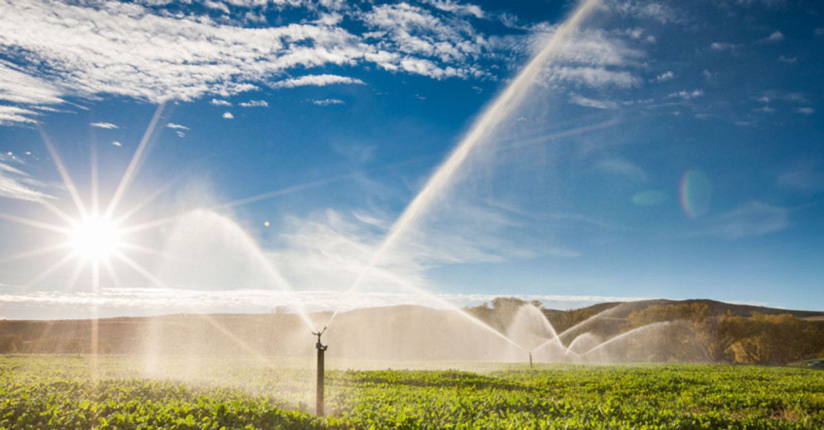 SSS Irrigation | Projects | Lyndon Strang at Stony Creek
