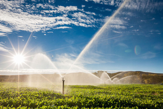 SSS Irrigation | Home | Fixed Grid Irrigation System, New Zealand