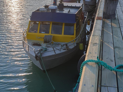 Photo Gallery | Moeraki Fishing Charters