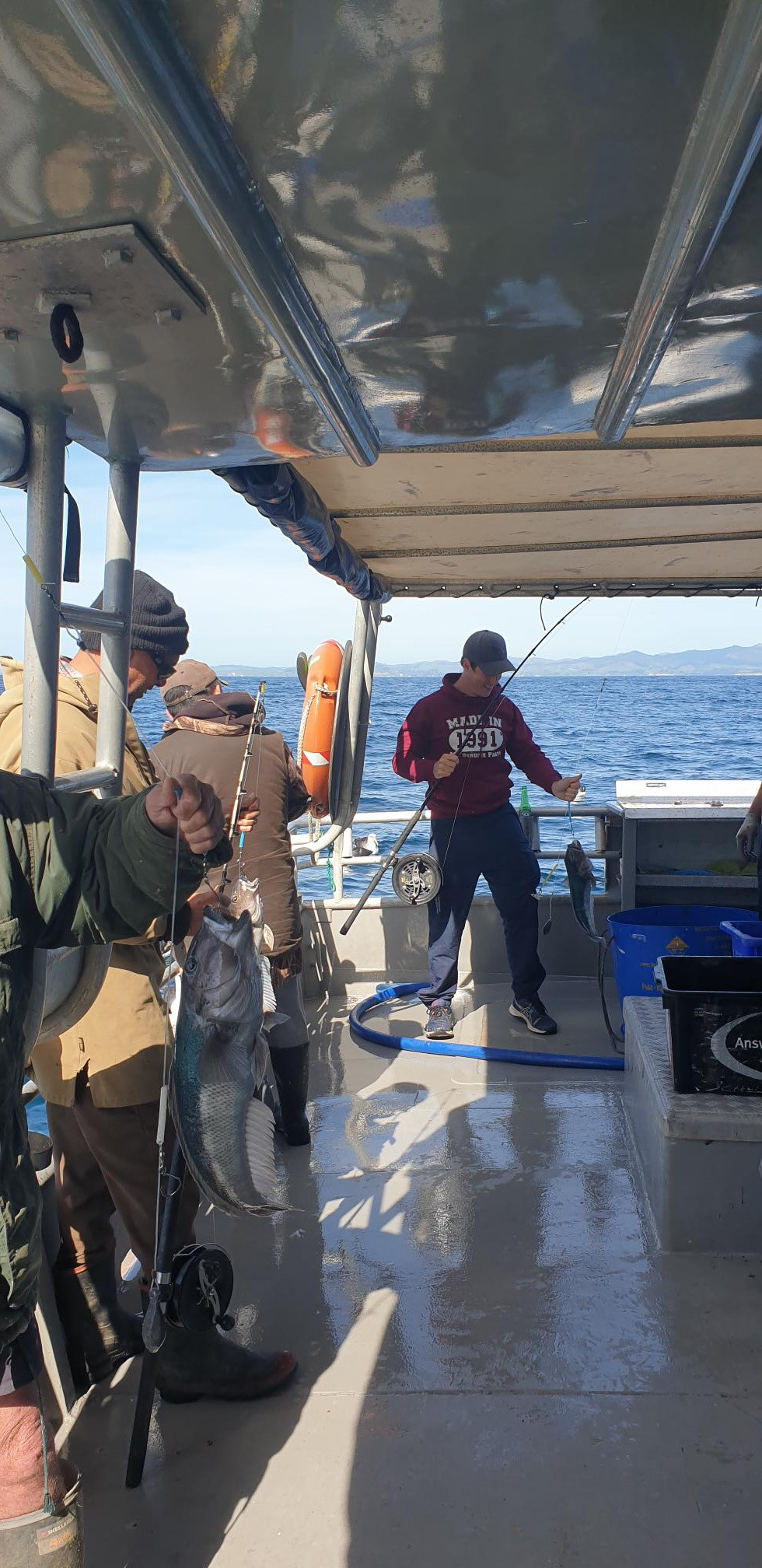 Photo Gallery | Moeraki Fishing Charters