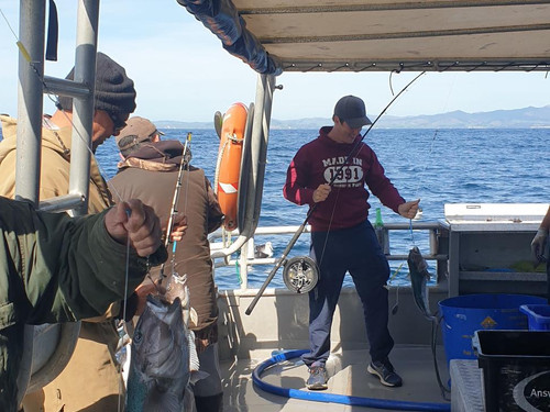 Photo Gallery | Moeraki Fishing Charters
