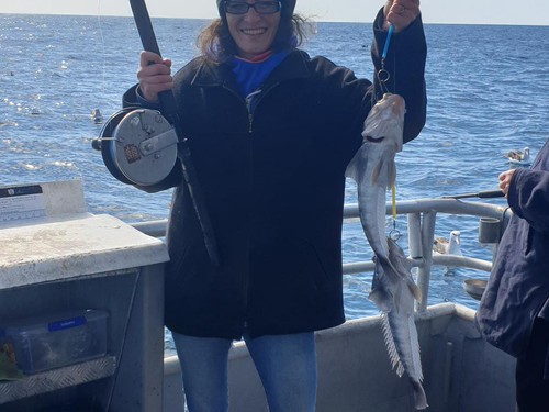 Photo Gallery | Moeraki Fishing Charters