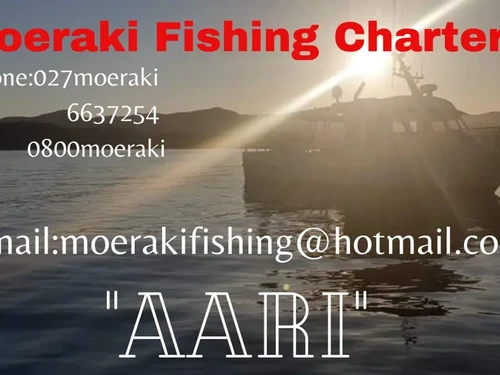Photo Gallery | Moeraki Fishing Charters