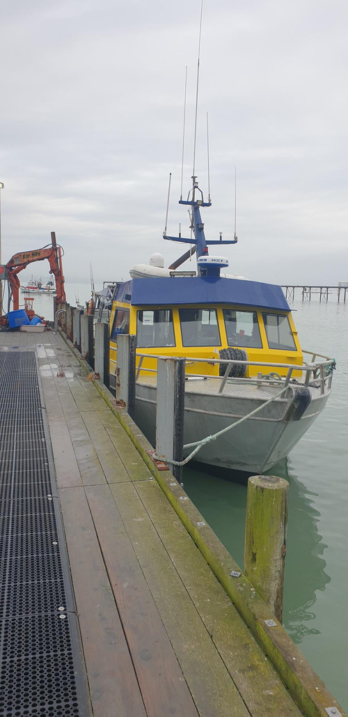 Photo Gallery | Moeraki Fishing Charters