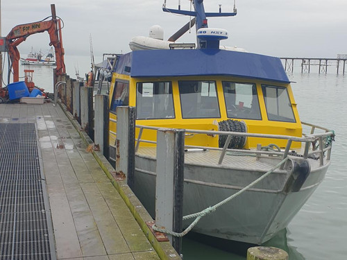 Photo Gallery | Moeraki Fishing Charters