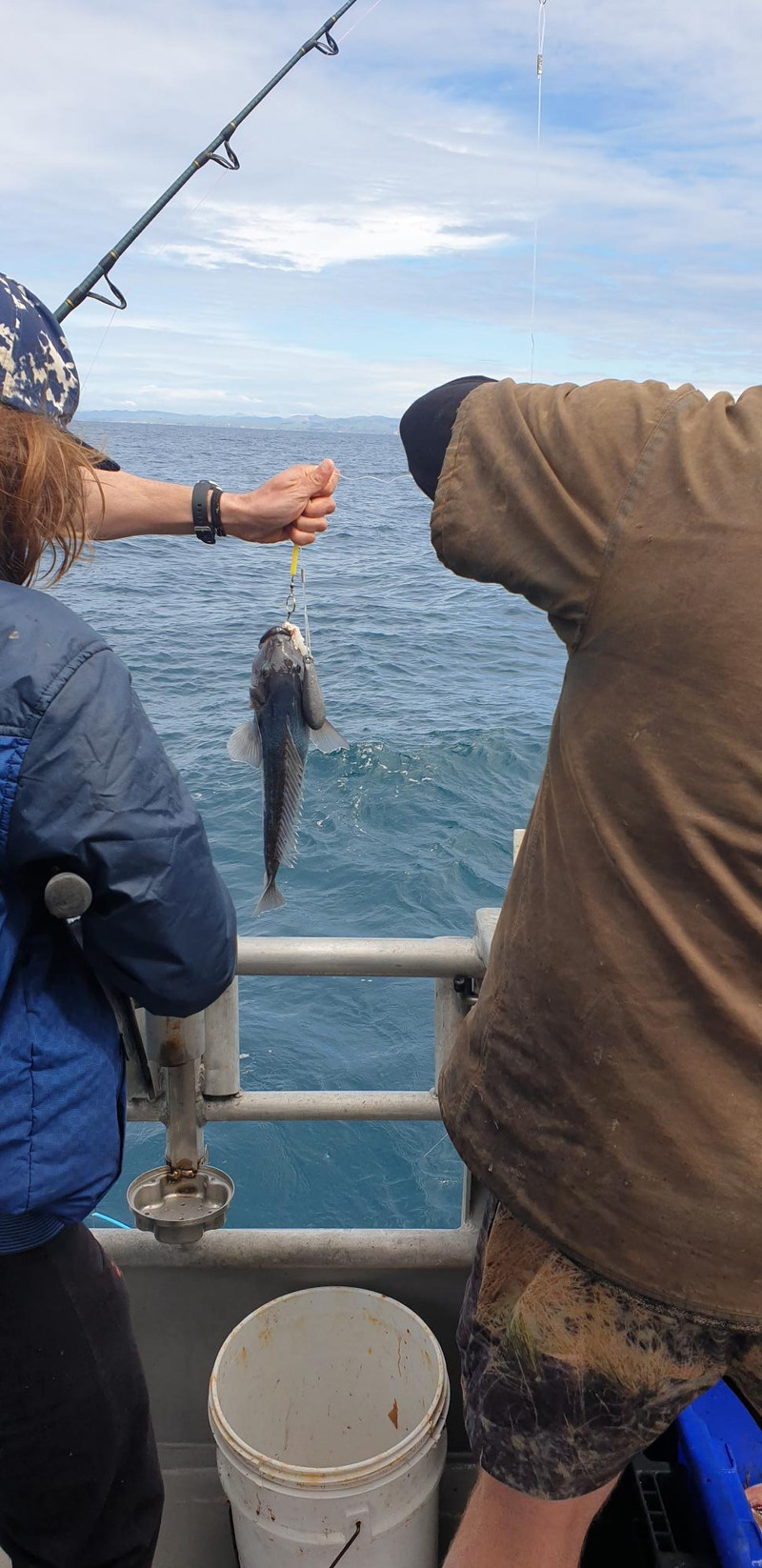 Photo Gallery | Moeraki Fishing Charters