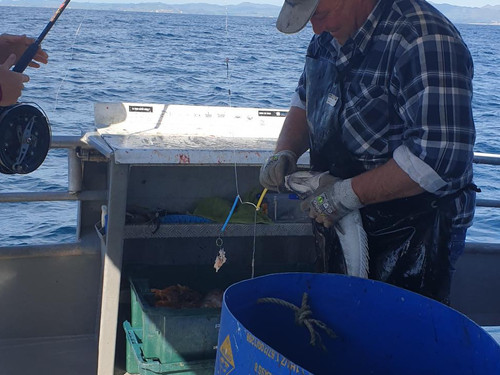 Photo Gallery | Moeraki Fishing Charters
