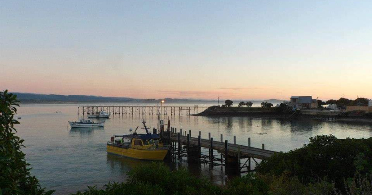 Moeraki Fishing Charters | Your Fishing Trip