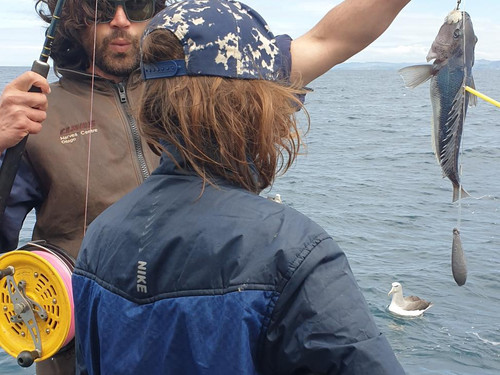 Photo Gallery | Moeraki Fishing Charters