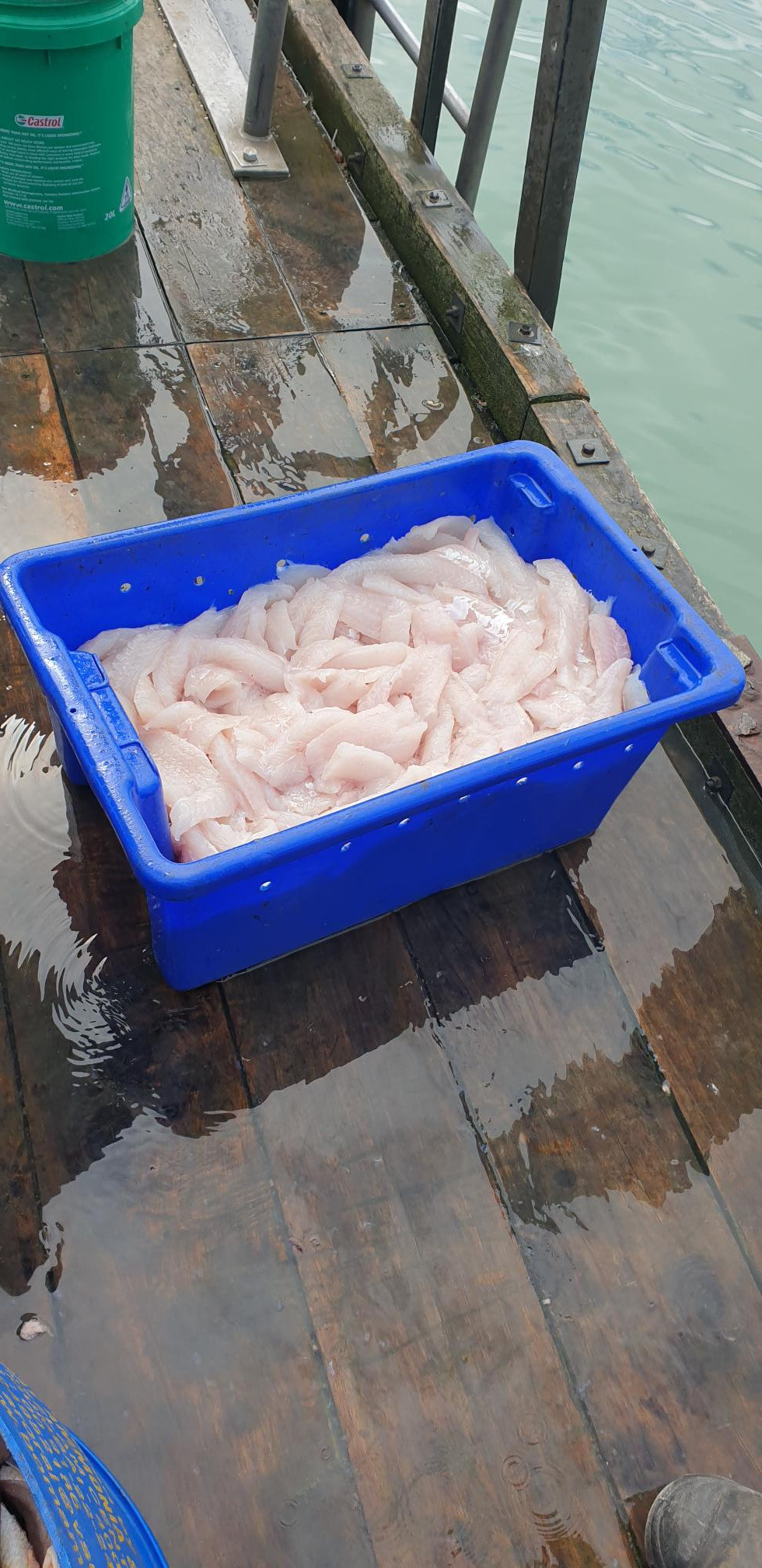 Photo Gallery | Moeraki Fishing Charters