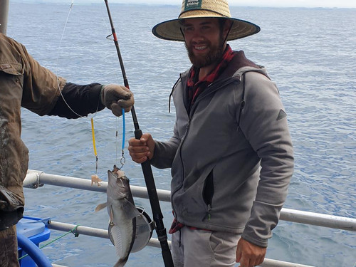 Photo Gallery | Moeraki Fishing Charters