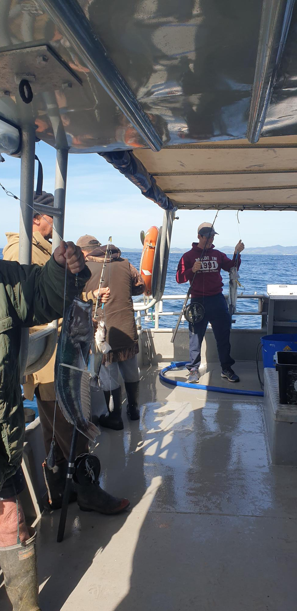 Photo Gallery | Moeraki Fishing Charters