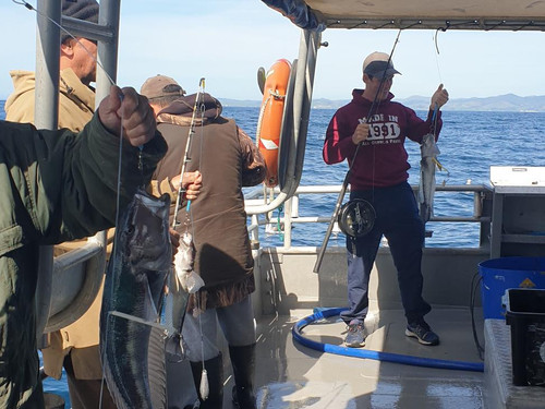 Photo Gallery | Moeraki Fishing Charters