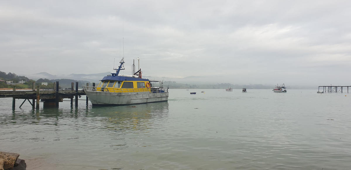 Photo Gallery | Moeraki Fishing Charters