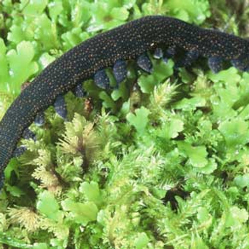 Home | The Valley Project