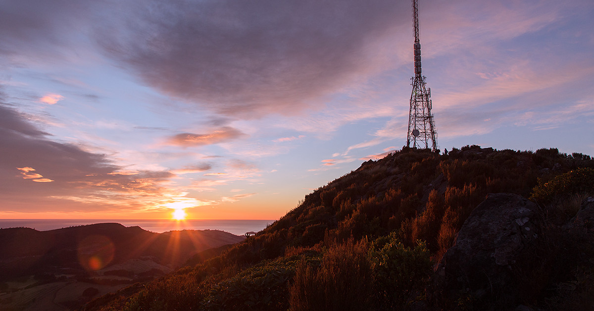 Runners ready to crush Cargill