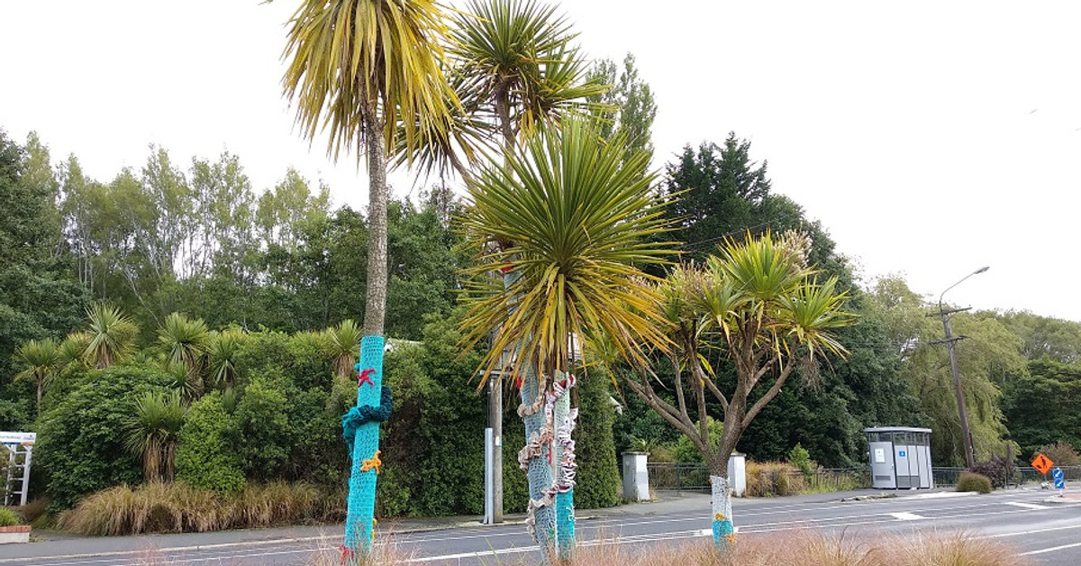 Notable Trees of North East Valley