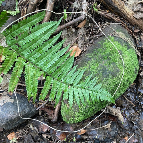 What's On | The Valley Project