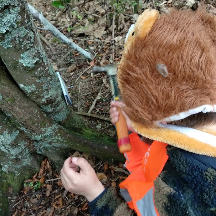 Find Chew's In Your Backyard!