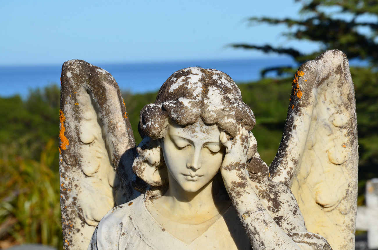Anderson's Bay Cemetery Tour | Darkest Dunedin | New Zealand