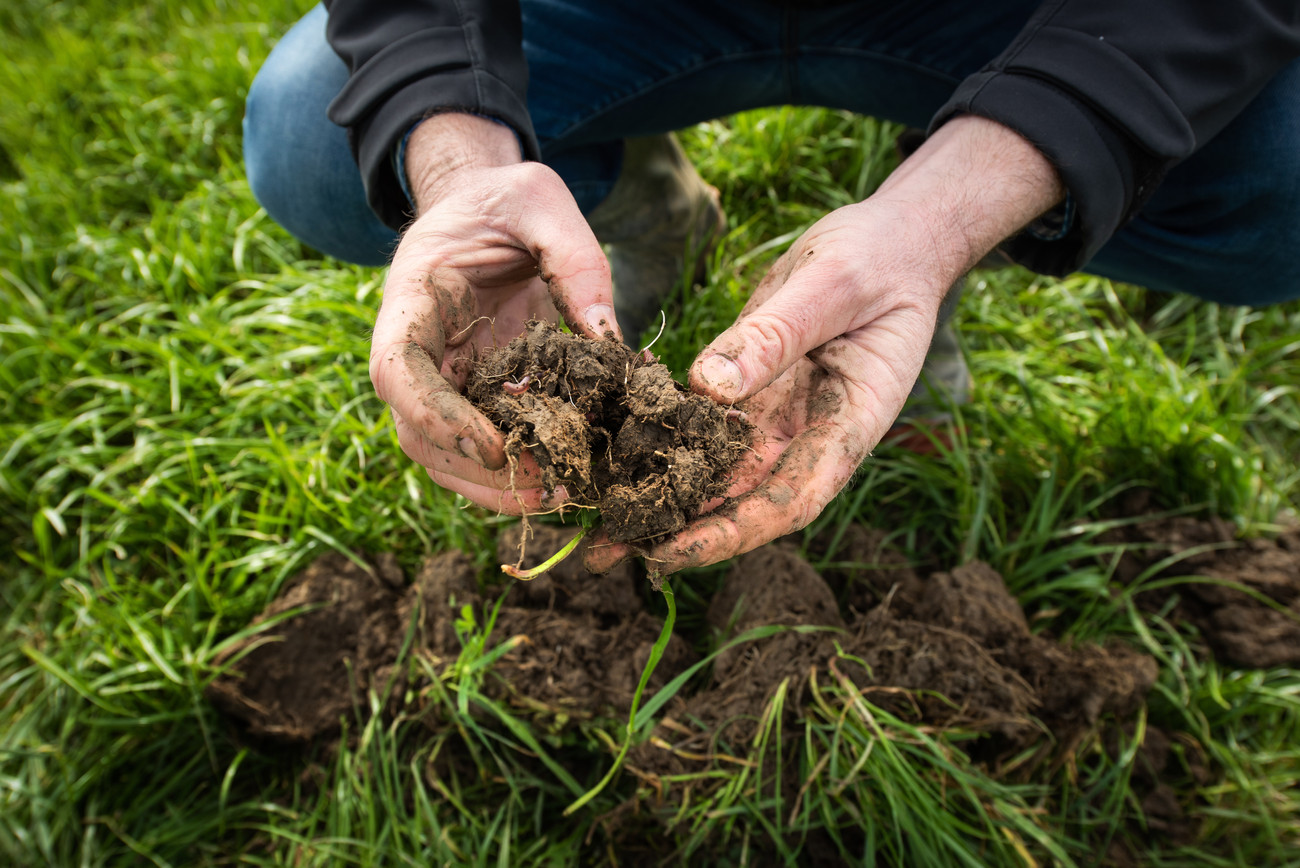 Soil Testing Information