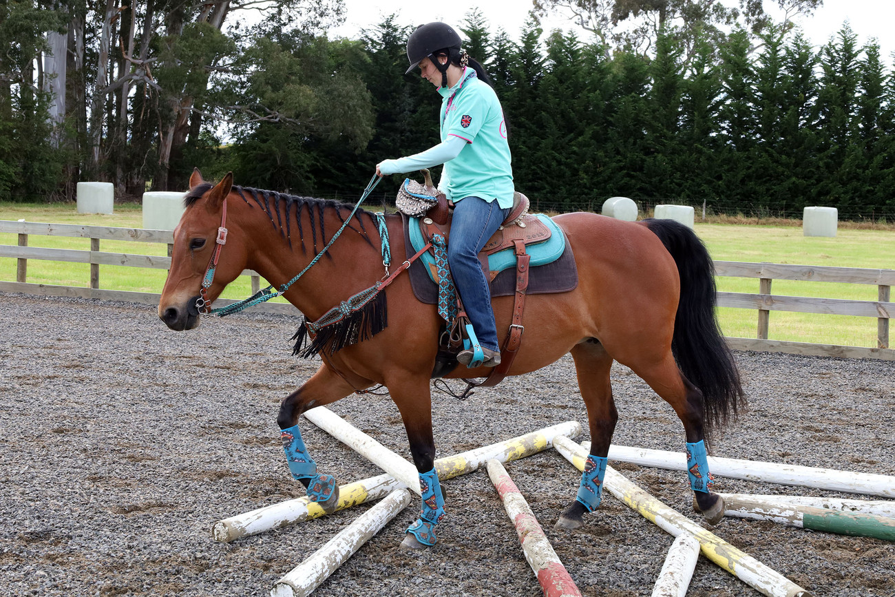 Gallery | Zoe Miller Horse Riding Instructor | South Island, New Zealand