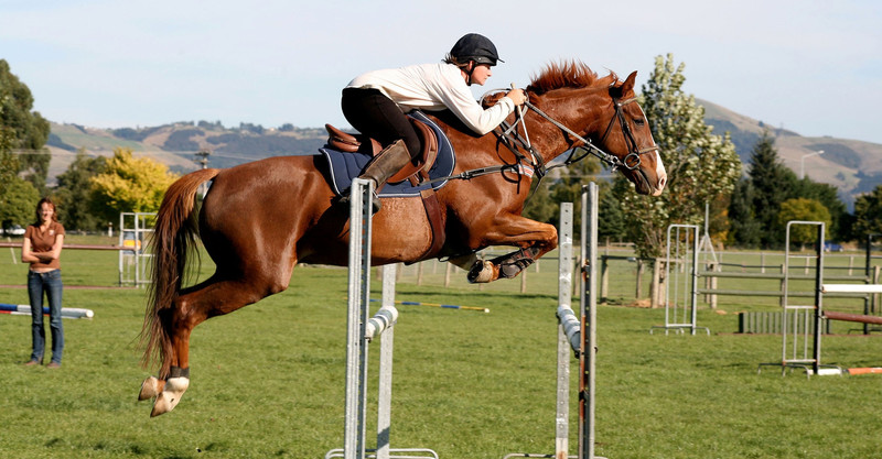 Home | Zoe Miller Horse Riding Instructor | South Island, New Zealand