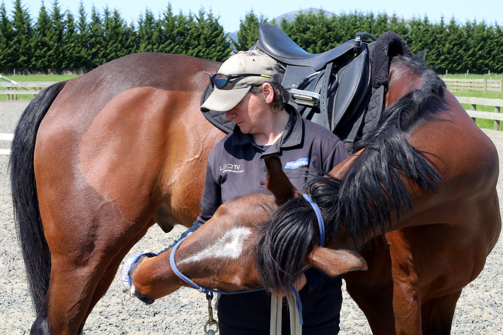 About | Zoe Miller Horse Riding Instructor | South Island, New Zealand