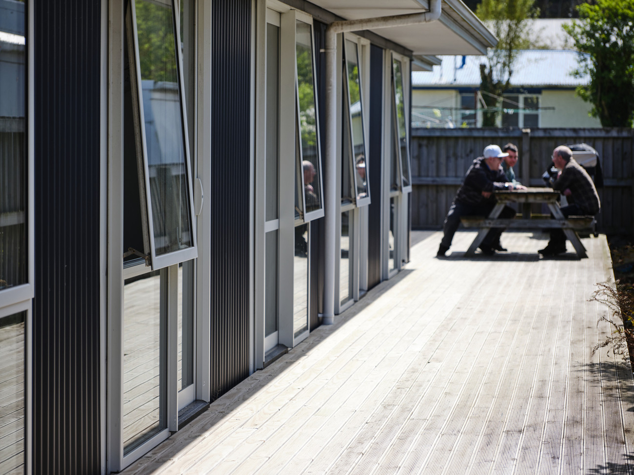 Gallery | Mount Cargill trust | Dunedin