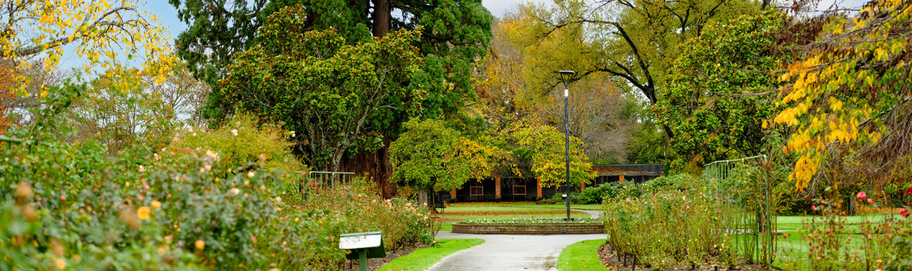 Hospital | Gore Health Ltd | Gore Hospital Services