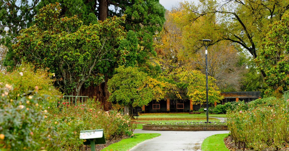 Hospital | Gore Health Ltd | Gore Hospital Services