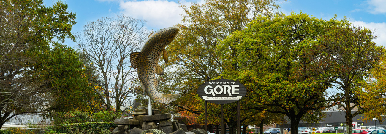 Living in Gore | Gore Health Ltd | Working in Gore