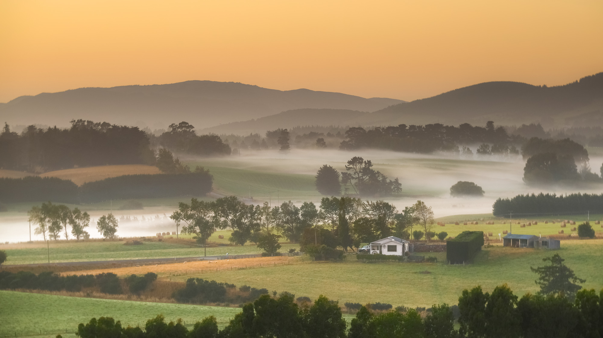 Lab & X-ray Services | Gore Health Ltd | Radiology & Blood Tests