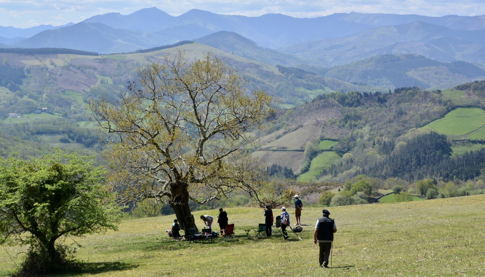 Walking Party Tours in France (& beyond)