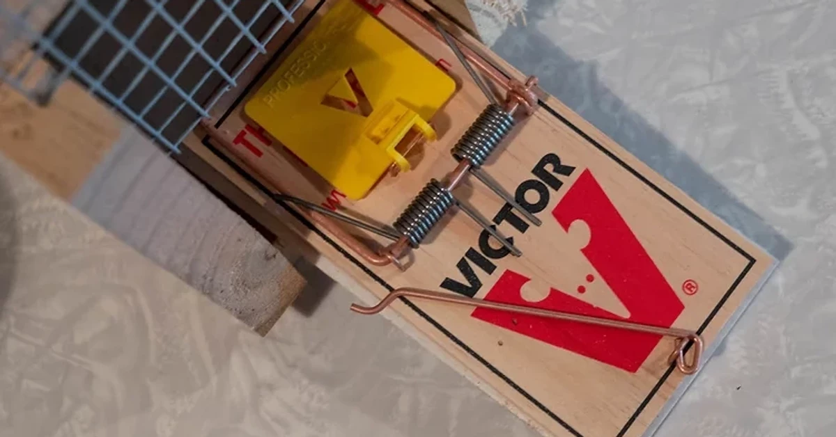 How to get Trapping