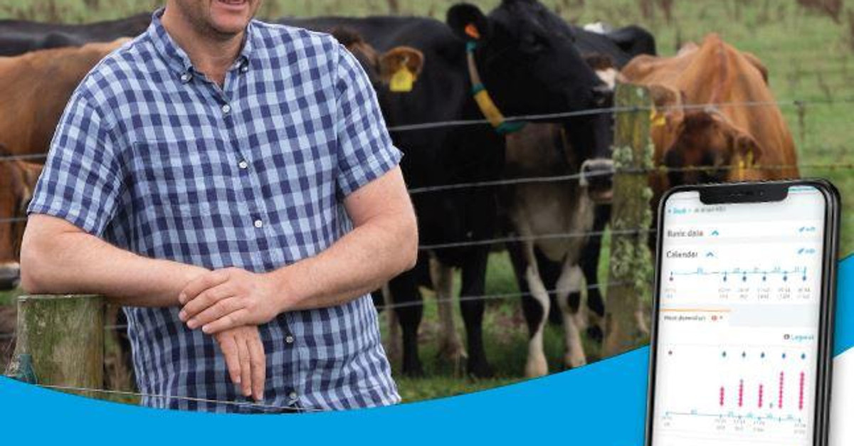 Want to monitor your cows your way? Get CowScout Collars.