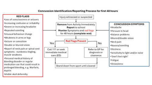 Managing a concussion in Schools