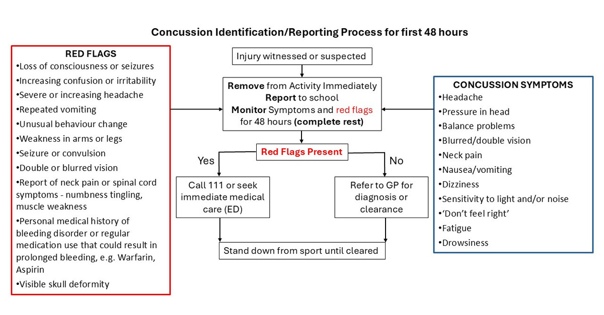 Managing a concussion in Schools