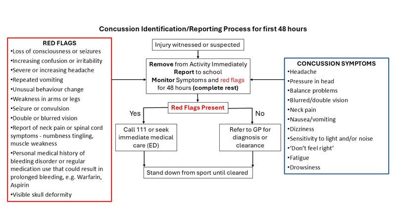 Managing a concussion in Schools