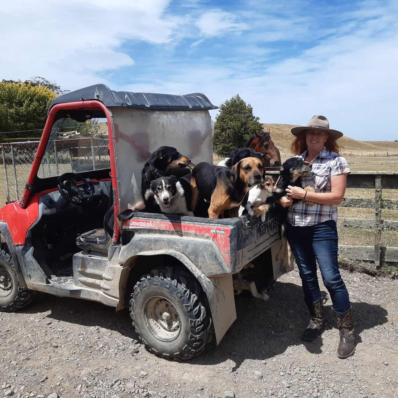 Mighty Mix Dog Food | Franchisees| Get Mighty Mix Dog Food delivered to ...