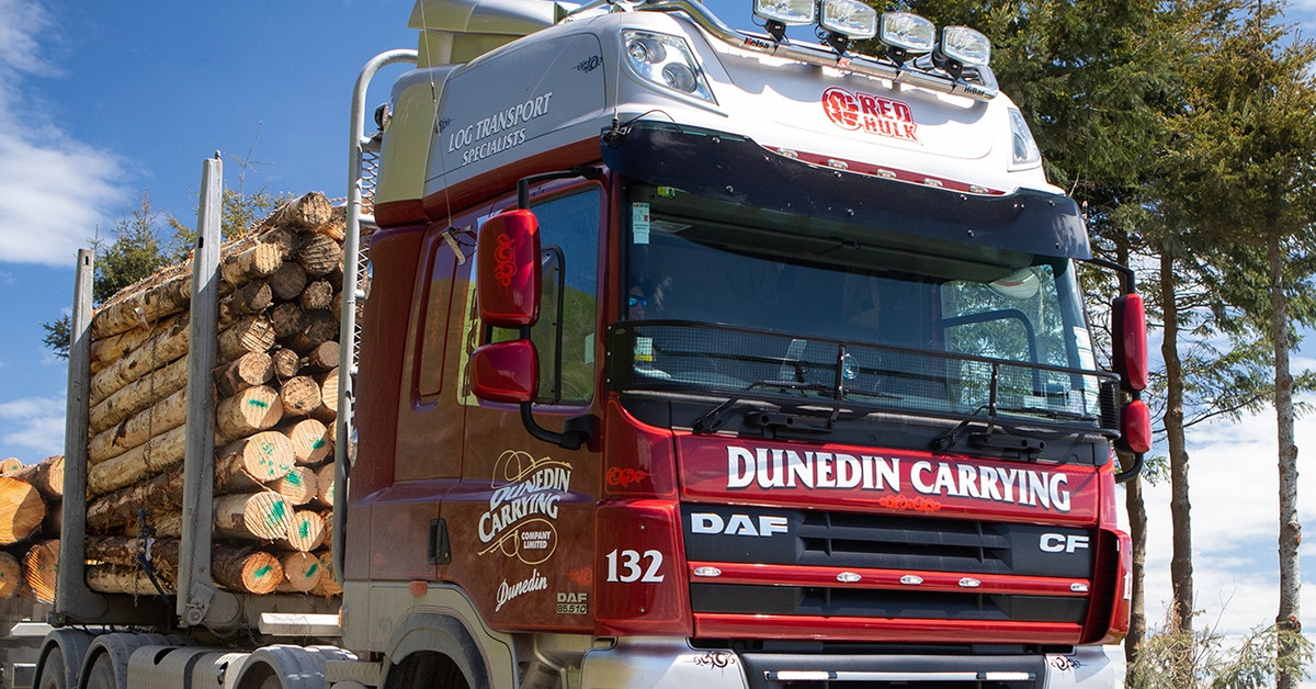 Group | Dynes | Working collaboratively, safely, and efficiently.