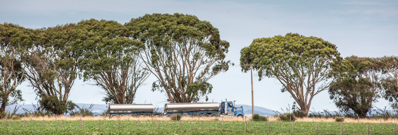 Dairy | Dynes | Involved in the dairy industry since 1994