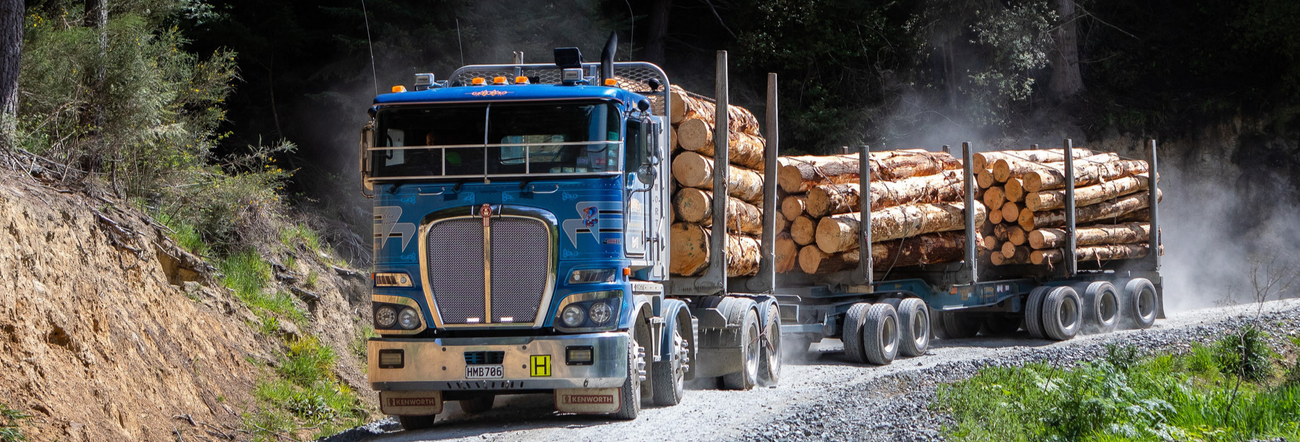 Foresty | Dynes | The partner of choice for many leading companies in ...