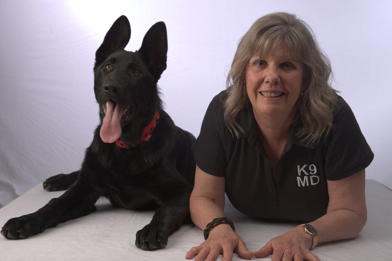 About | K9 Medical Detection NZ | Medical detection dogs New Zealand