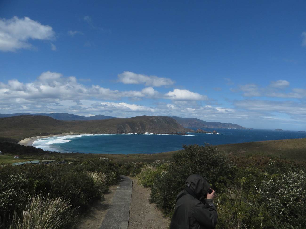 Botanical Tours | Trips | Nature Quest New Zealand | NZ's unique flora